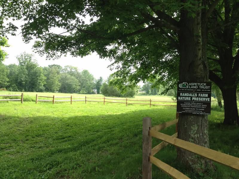 Randall Farm Open Space Preserve: A Unique, Yet Familiar Place. – The ...